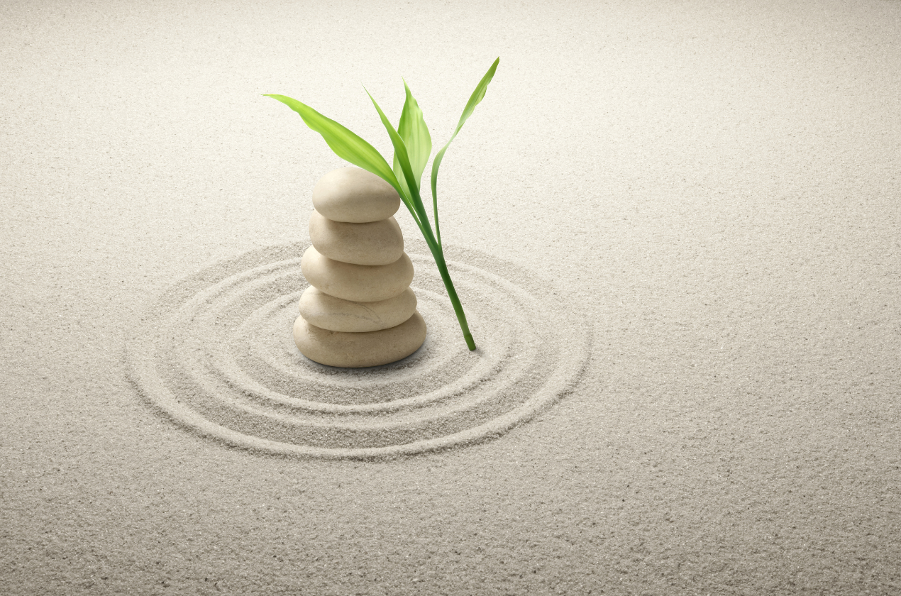 Crafting Tranquility: Discovering the Potential of Empty Pill Capsules ...